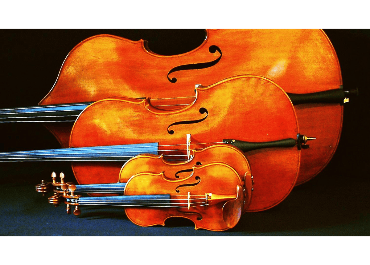 Introduction to Middle School Orchestra - Grade 6 - Mounds View Public ...