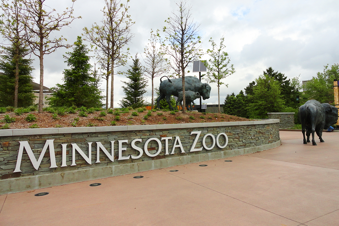 Friday Field Trip: Minnesota Zoo - Mounds View Public Schools Community ...