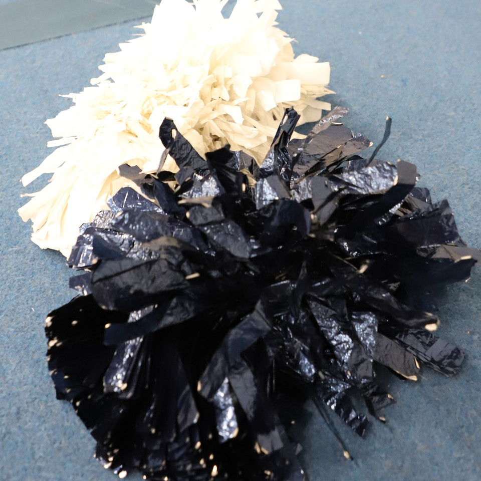 Cheer Team: Summer Program - Dassel-Cokato Community Education